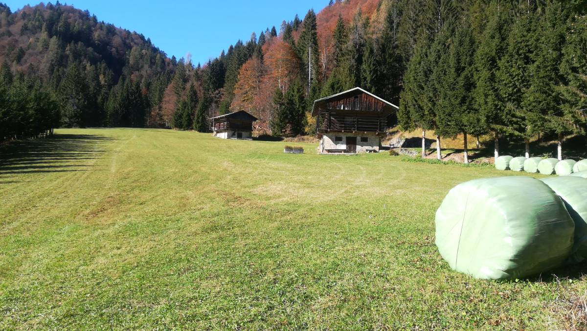 Sauris: gioiello delle Alpi Carniche • Rete Sauris