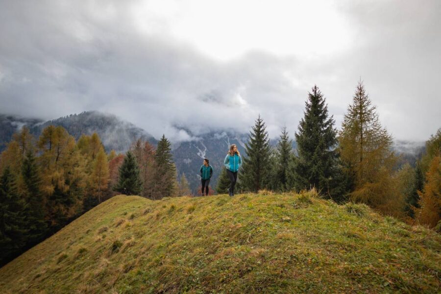 Escursioni a Sauris: esplora a piedi questo paradiso naturale • Sauris ...